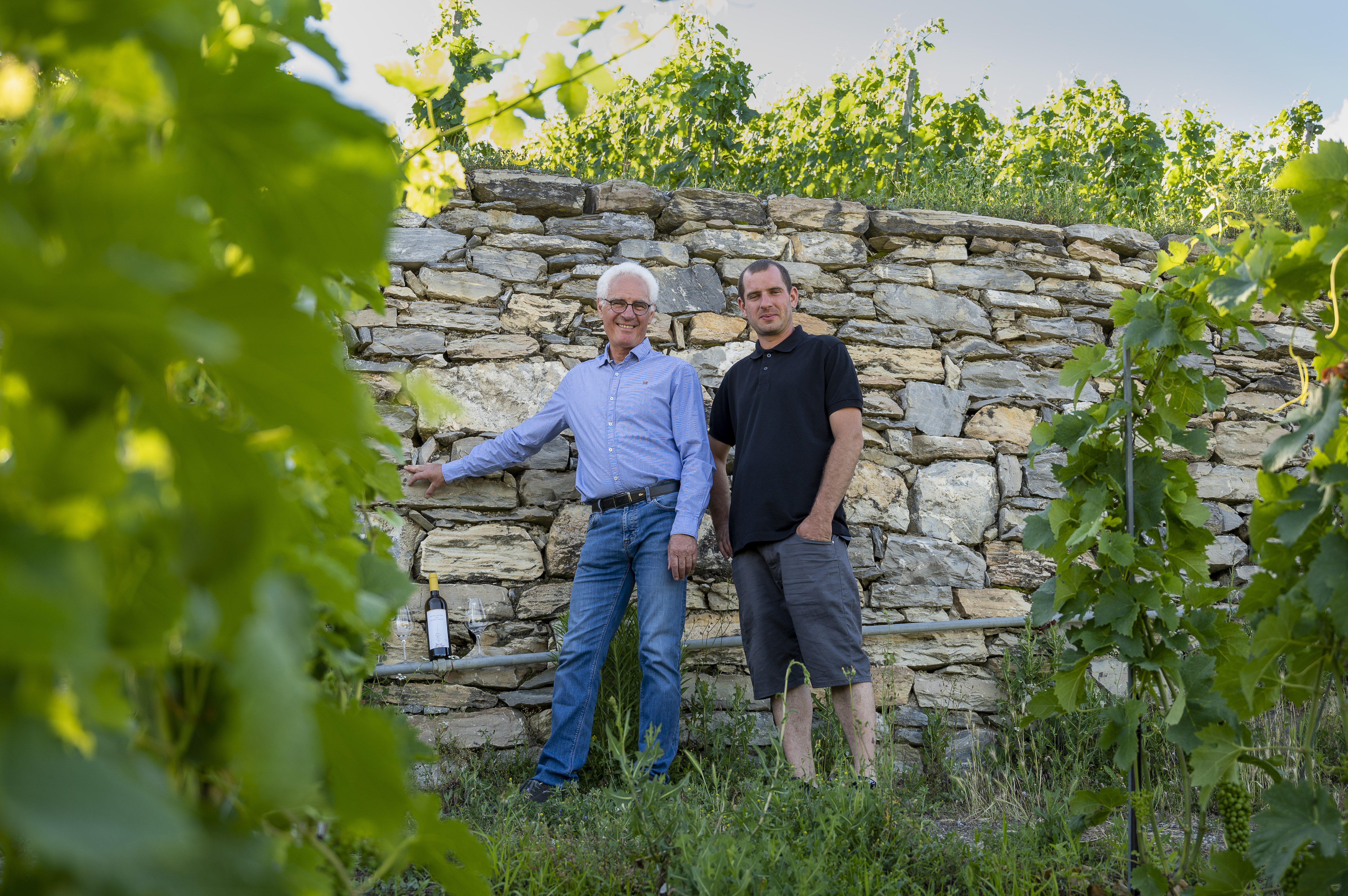 Dégustez les vins d'Adrien et Maurice Zufferey à Sierre